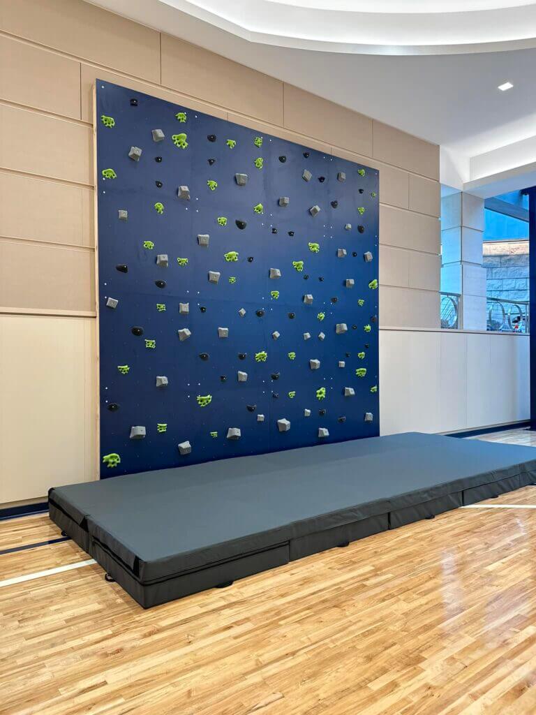 See Our Natural Rock Climbing Wall Panels Here