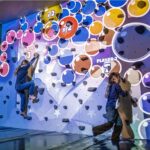 Adventure Solutions | We Build & Design Parks, Courses & More