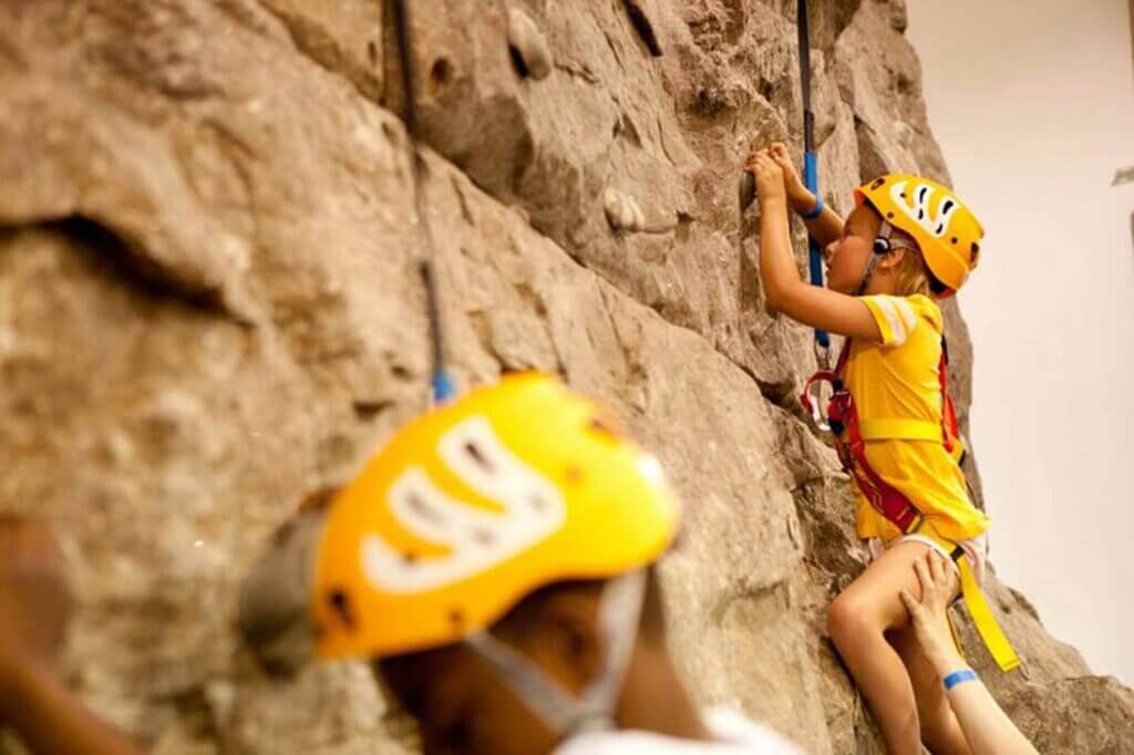 See Our Natural Rock Climbing Wall Panels Here