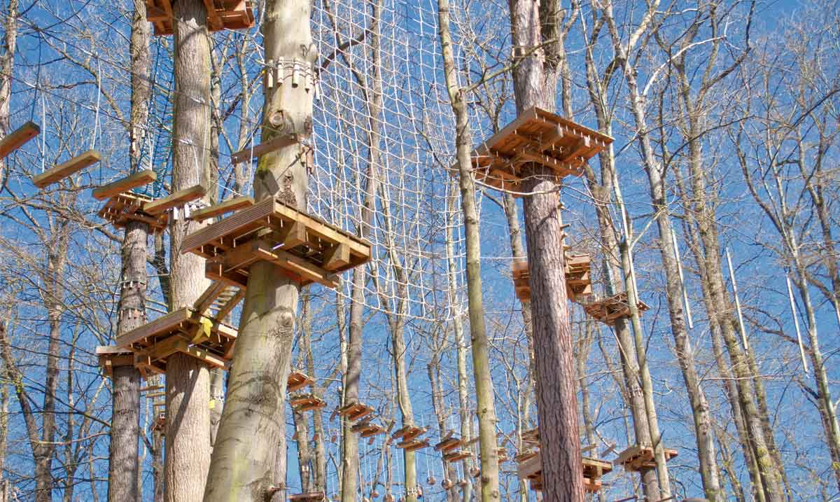Outdoor Adventure Courses | We Develop And Build Them!