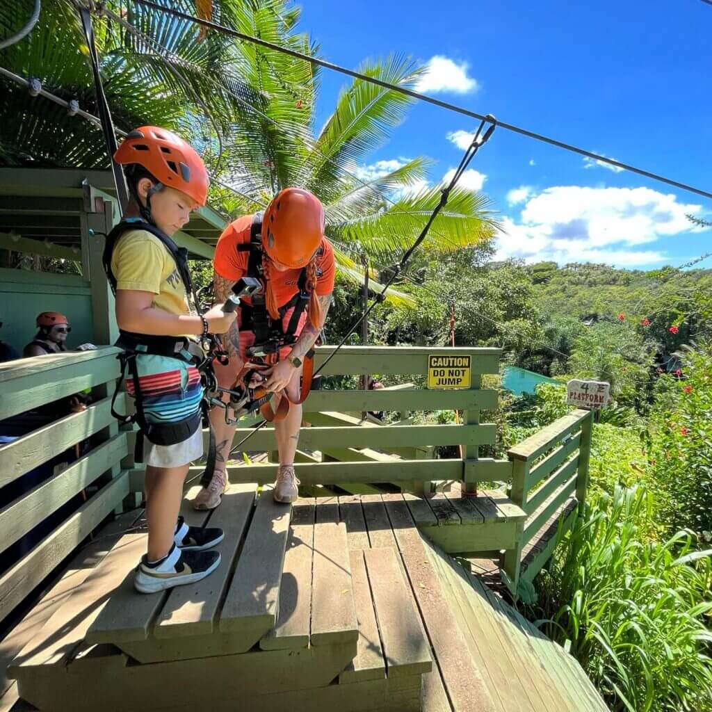 Zipline Solutions: Zip Line Roller Coasters & Courses Installation