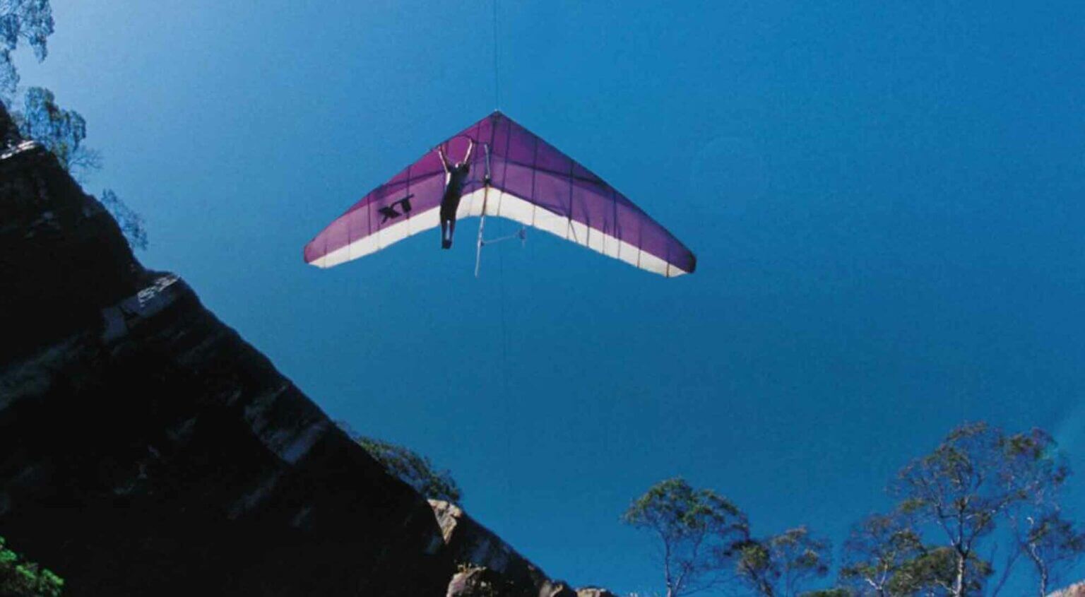 We Build Indoor Zip Lines, Platforms, And More