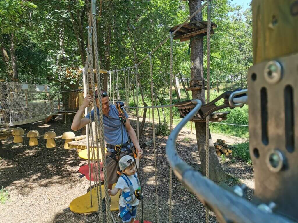 Saferoller Continuous Belay System - Important Details
