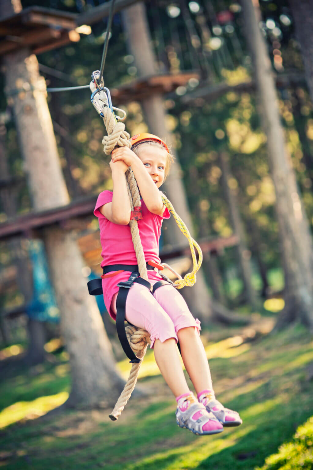 Zipline Solutions: Zip Line Roller Coasters & Courses Installation