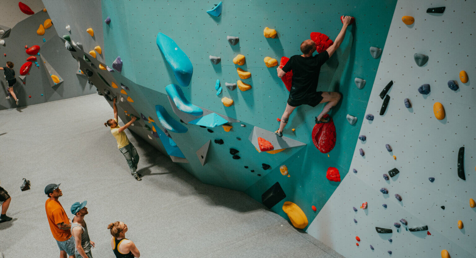 Adventure Solutions | We Build & Design Parks, Courses & More