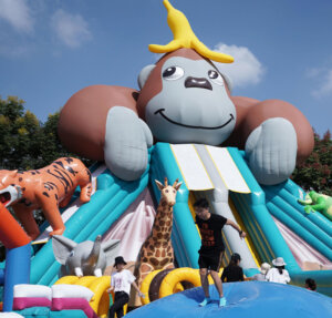 We Build Custom Designed Play Slides: Any Size Or Style