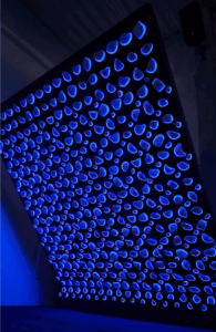 Kilter Board Climbing Walls | Learn More Here