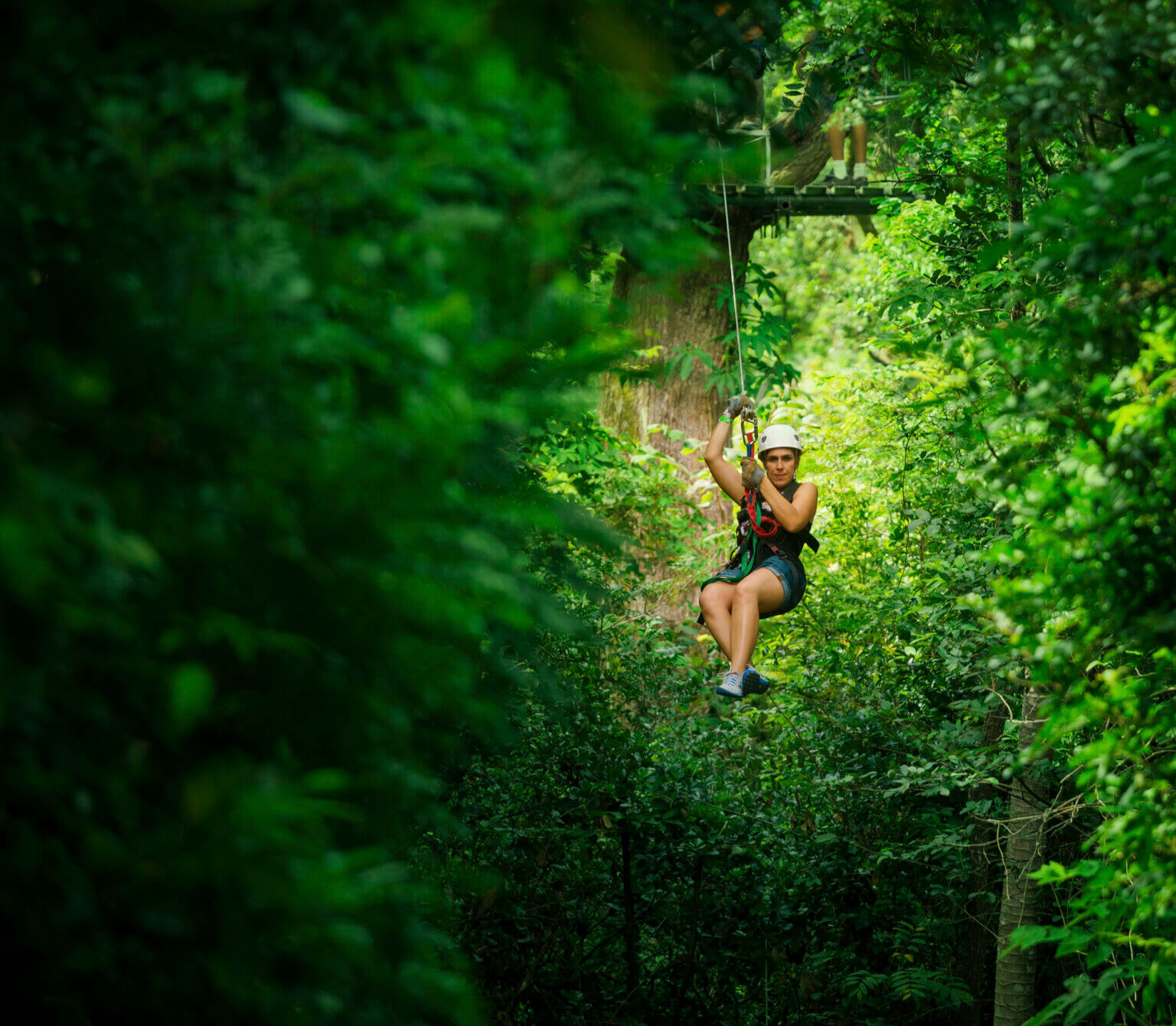 We Build Outdoor Zip Lines, Platforms & More
